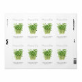 Sticker for seed packet | Microgreens Seed Label | Zazzle