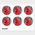 Sticker, male Cardinal red bird, "Chipper's smile" Classic Round ...