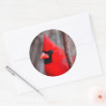Sticker, male Cardinal red bird, "Chipper's smile" Classic Round ...