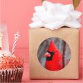 Sticker, male Cardinal red bird, "Chipper's smile" Classic Round ...