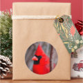 Sticker, male Cardinal red bird, "Chipper's smile" Classic Round ...