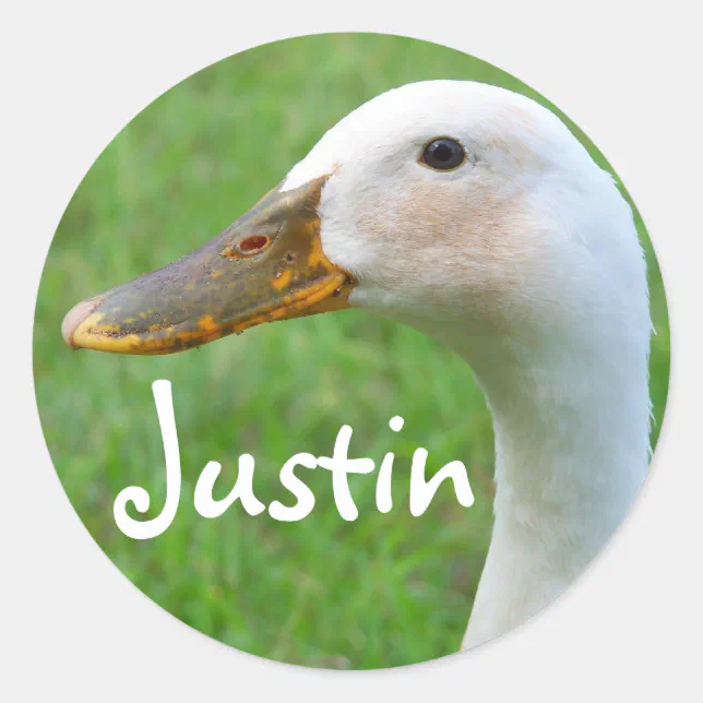 sticker name : Justin | Zazzle