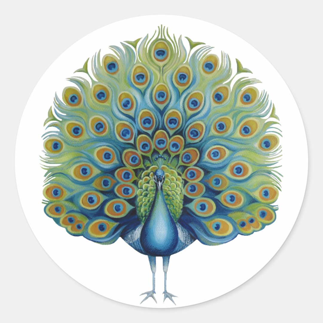 Sticker Peacock | Zazzle