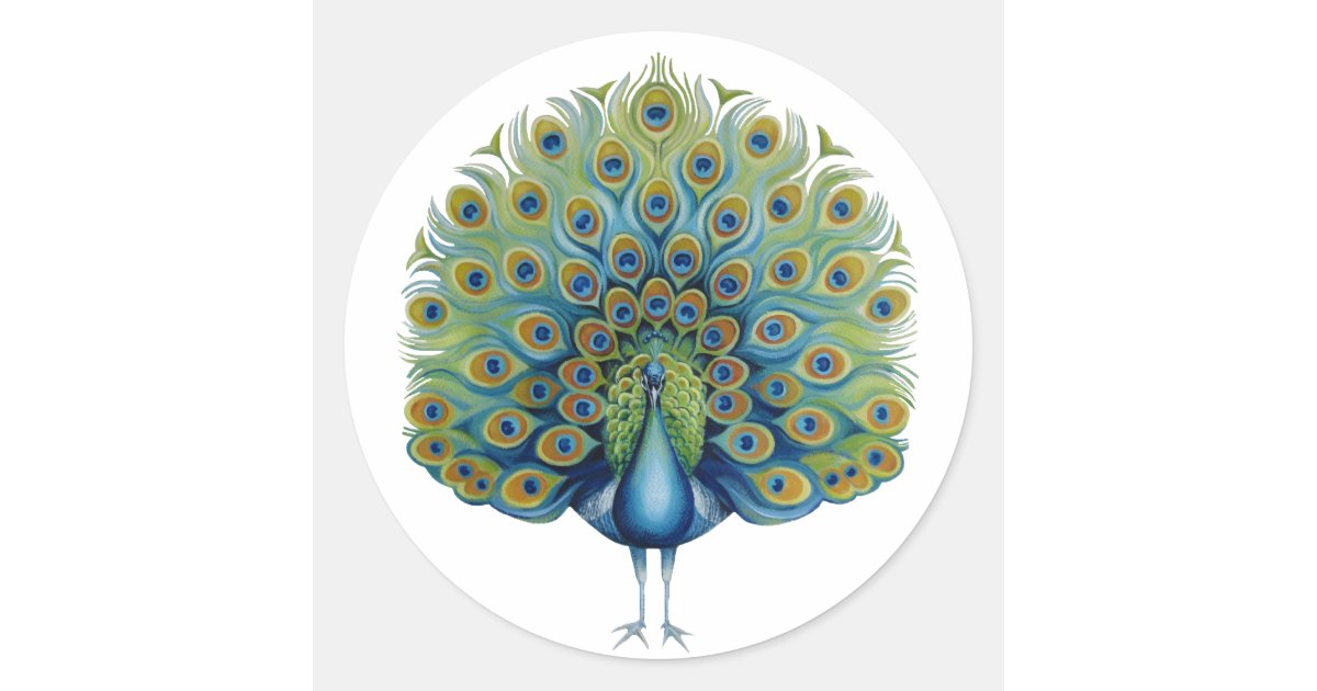 Sticker Peacock | Zazzle