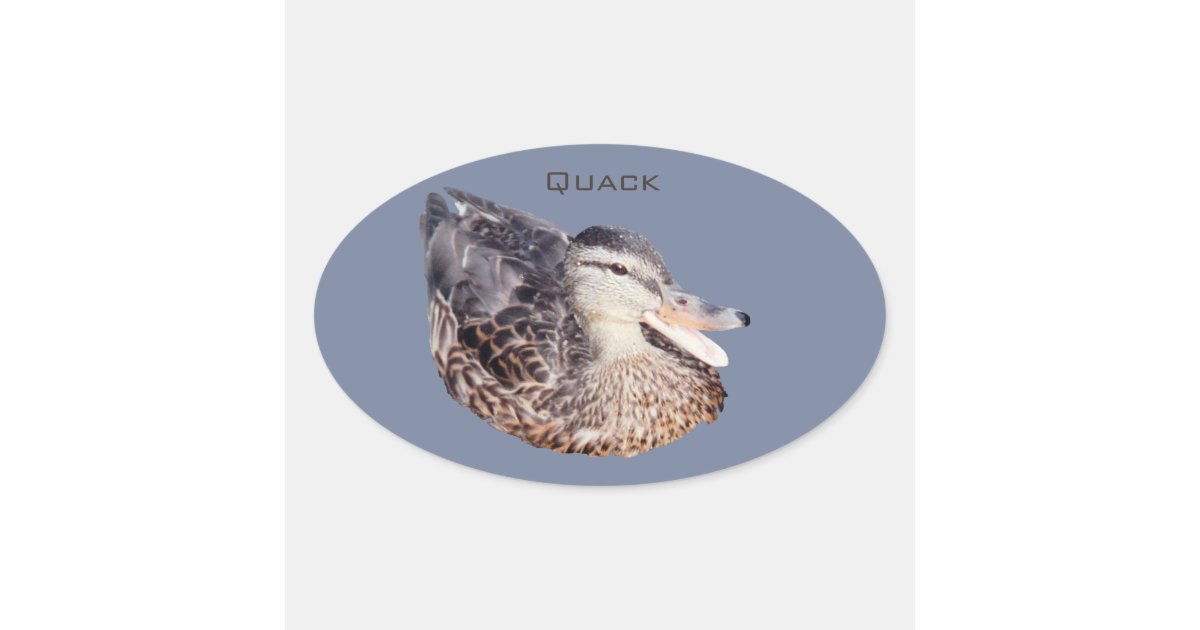 sticker with duck saying quack | Zazzle.com