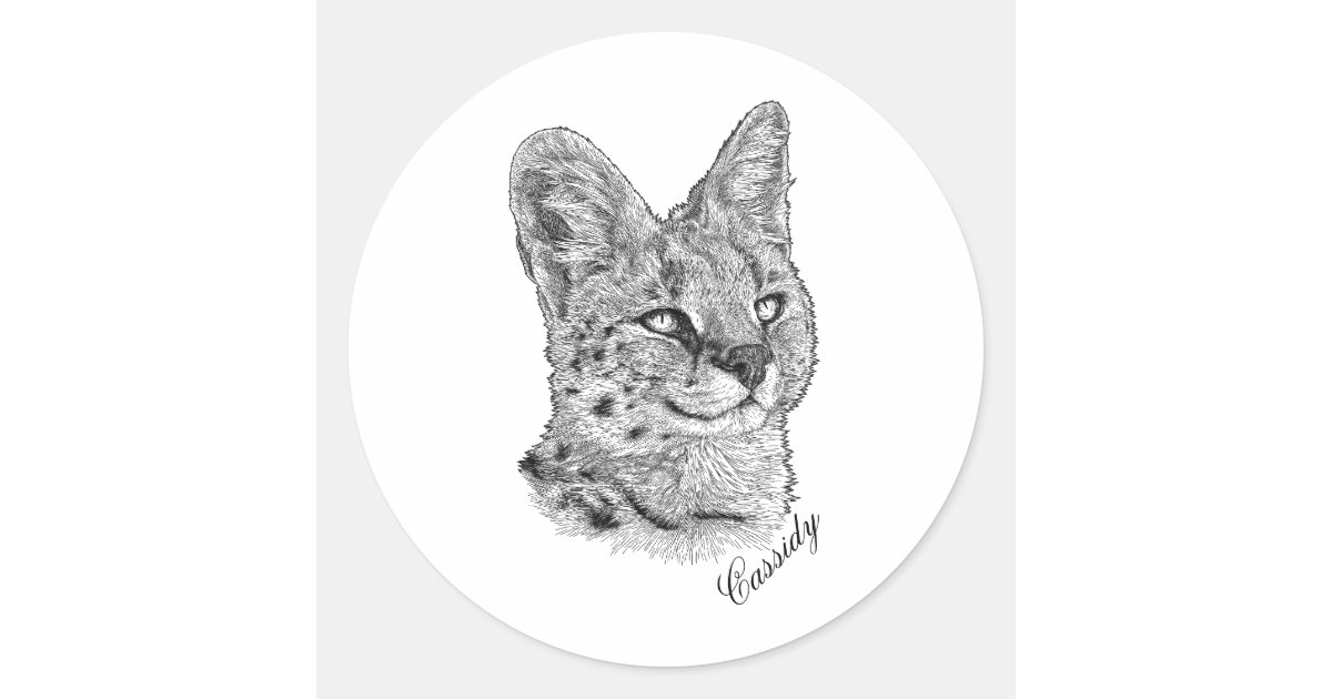Stickers - Cassidy | Zazzle