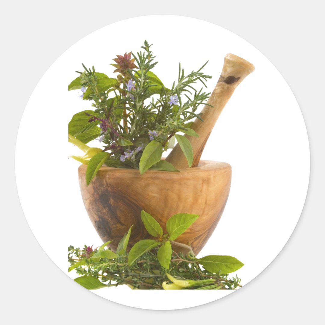 Stickers--Herbs Classic Round Sticker | Zazzle