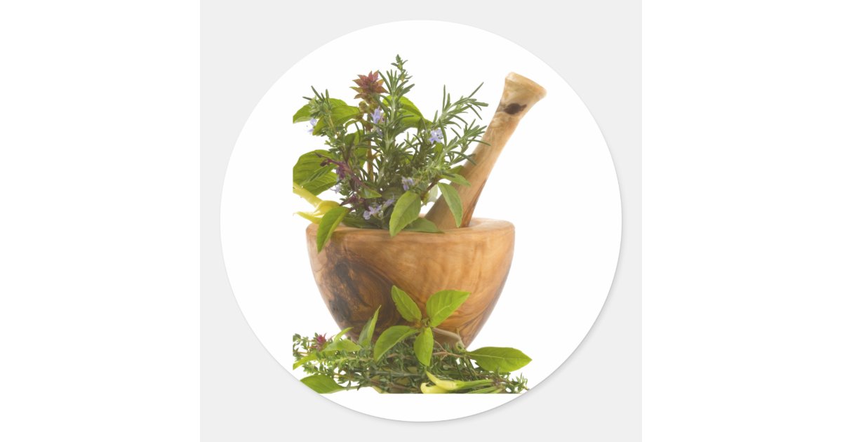 Stickers--Herbs Classic Round Sticker | Zazzle