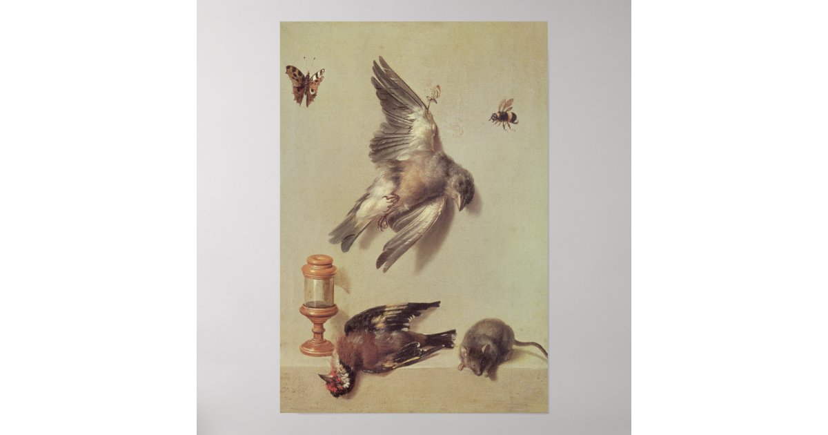 Still Life of Dead Birds and a Mouse, 1712 Poster | Zazzle