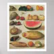 Still Life with Fruit and Toad Poster | Zazzle