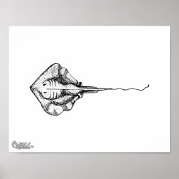 Stingray Illustration Poster | Zazzle