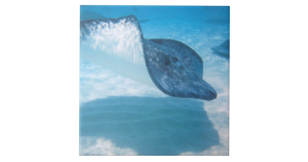 Stingray in the Caribbean Ceramic Tile | Zazzle