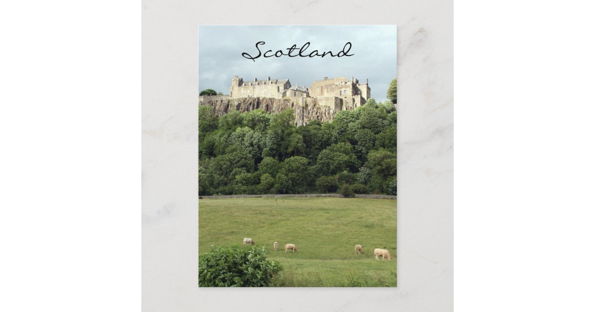 stirling castle sheep field postcard | Zazzle