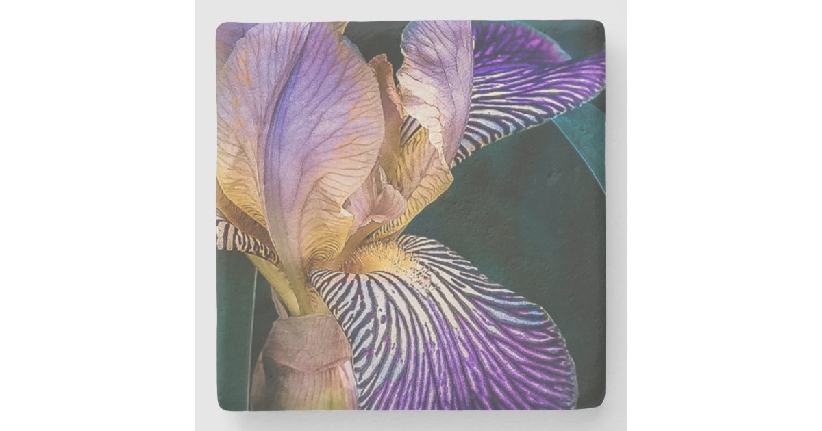 Stone Coaster with iris design. | Zazzle