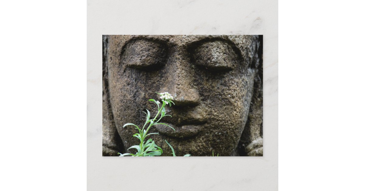 Stone garden statue with flower postcard | Zazzle