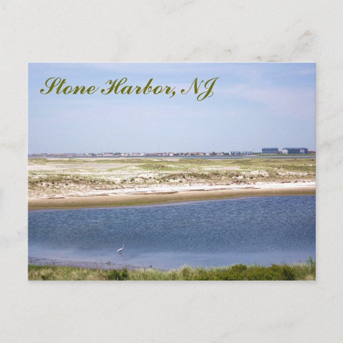 Stone Harbor Point Postcard | Zazzle