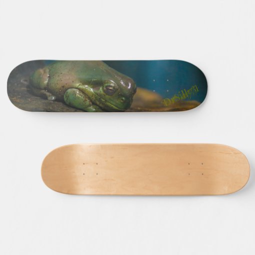 Stoned Toad Skateboard | Zazzle