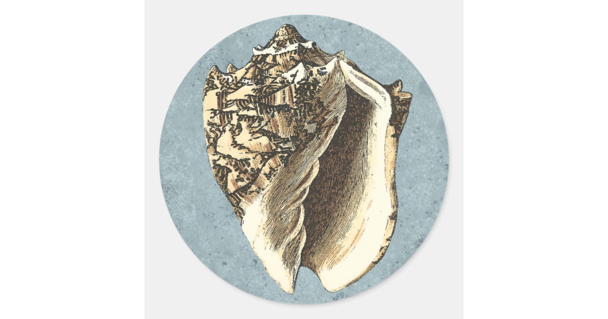 Stonewashed Conch Shell Classic Round Sticker | Zazzle