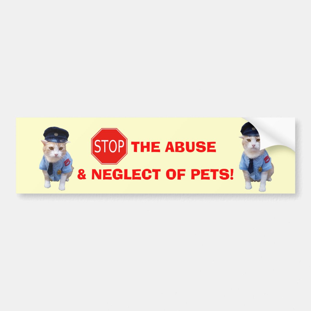 Stop Animal Abuse Bumper Sticker | Zazzle
