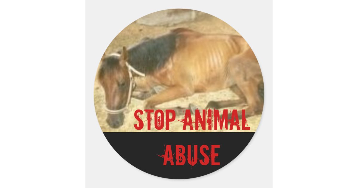 Stop Animal Abuse Classic Round Sticker | Zazzle