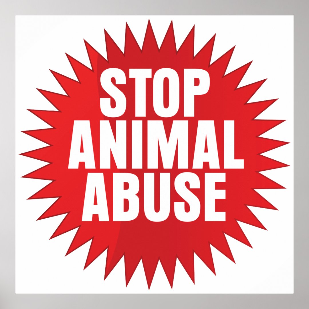 Stop Animal Abuse Poster | Zazzle