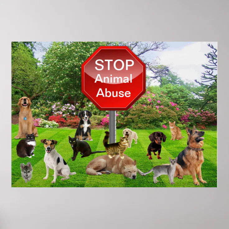 Stop Animal Abuse Poster | Zazzle
