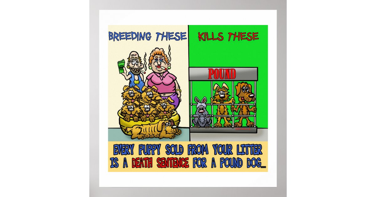 STOP BACKYARD BREEDING POSTER | Zazzle