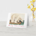 Stop Climate Change Merry Christmas Polar Bear Card | Zazzle