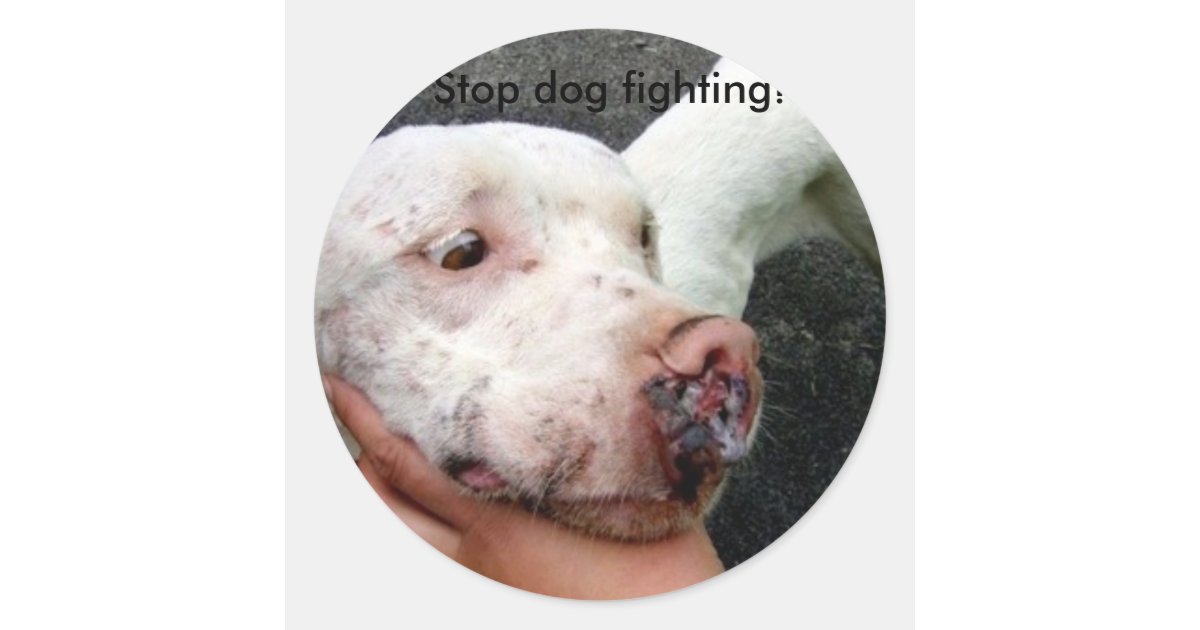 Stop dog fighting! stickers | Zazzle