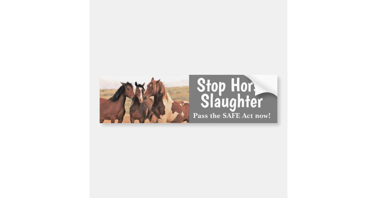 Stop Horse Slaughter Bumper Sticker | Zazzle