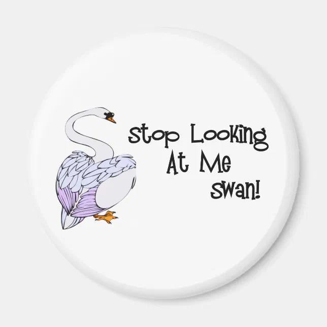 Stop Looking At Me Swan Magnet | Zazzle