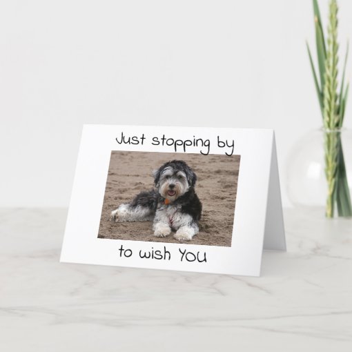 STOPPING BY TO WISH "YOU" A VERY HAPPY BIRTHDAY CARD | Zazzle