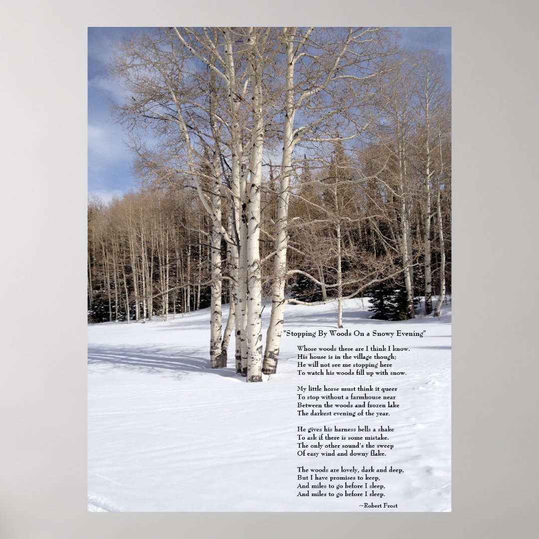 Stopping By Woods On a Snowy Evening Poster | Zazzle