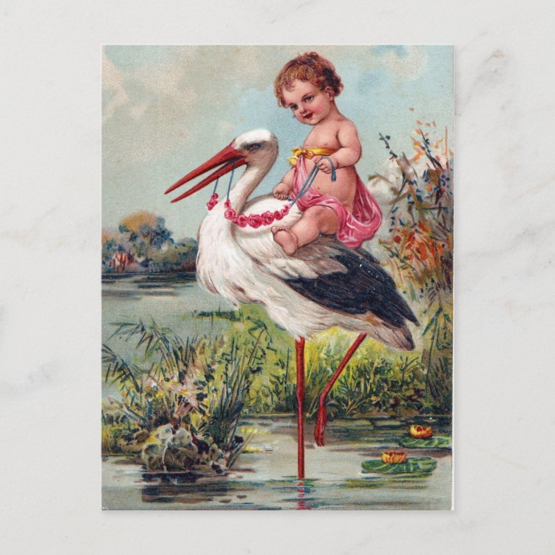 Stork and Baby From 1909 Postcard | Zazzle
