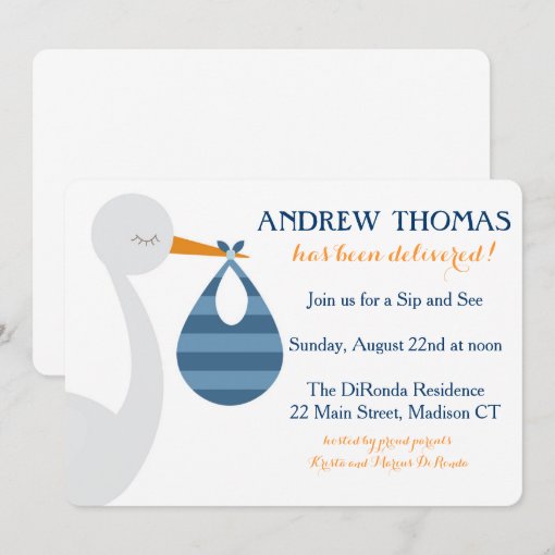 Stork Baby Invitation / Baby Announcement | Zazzle