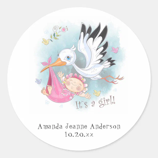 Stork with Baby Girl in Pink Announcement Classic Round Sticker | Zazzle