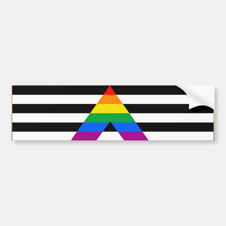 STRAIGHT ALLY FLAG BAR BUMPER STICKER | Zazzle