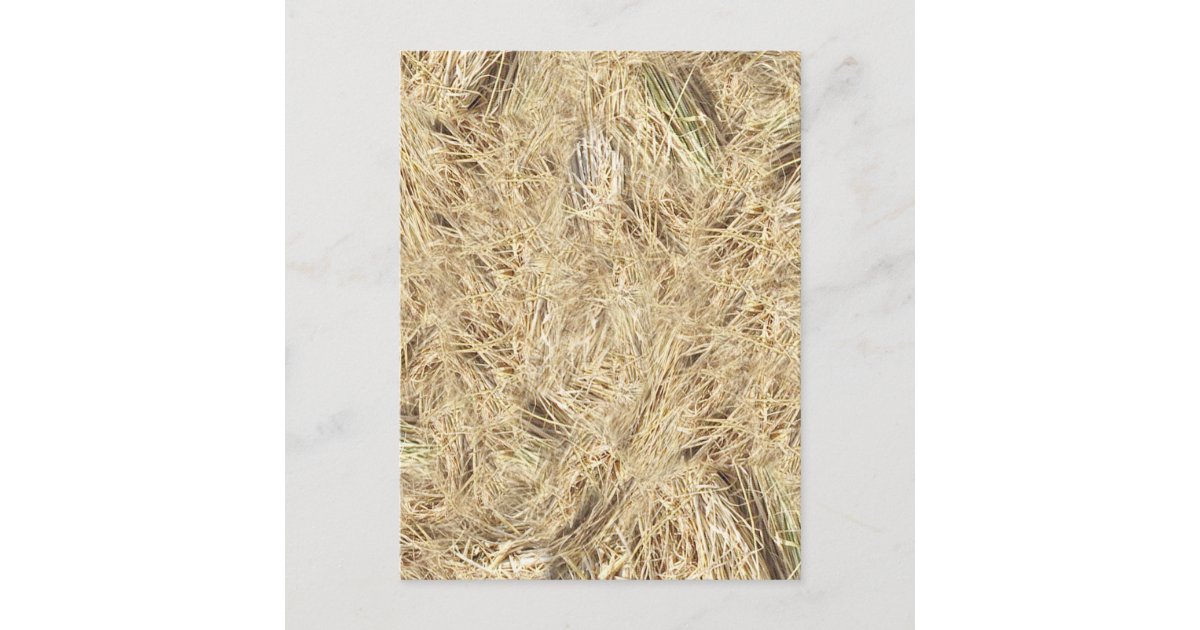 Straw Background Postcard | Zazzle
