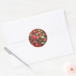 Strawberries | fresh picked red berries classic round sticker | Zazzle
