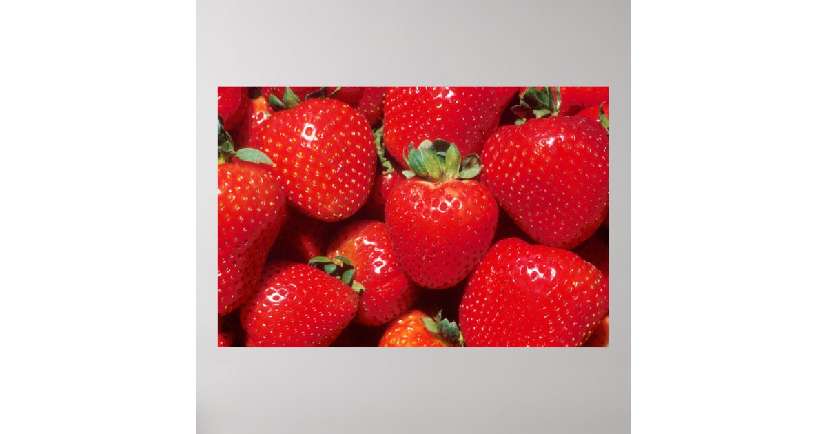 Strawberries Poster | Zazzle