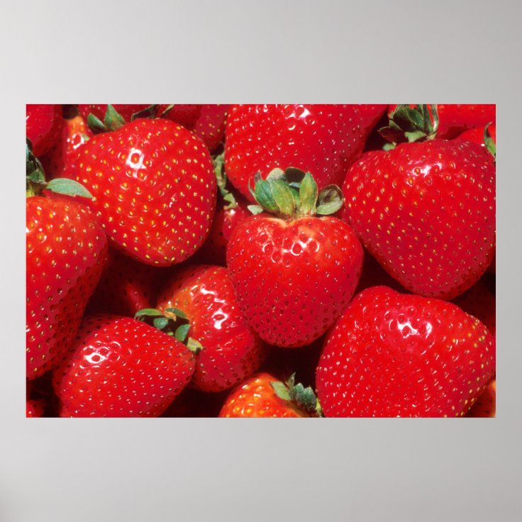 Strawberries Poster | Zazzle