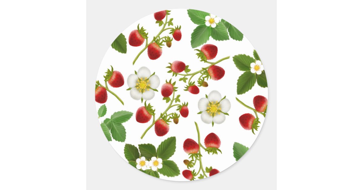 Strawberries Sticker | Zazzle