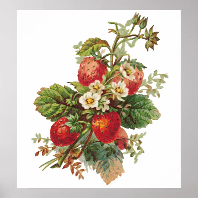 Strawberry Blooms Customizable Poster | Zazzle