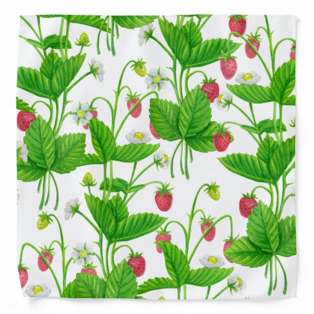 Bandanas & Handkerchiefs | Zazzle