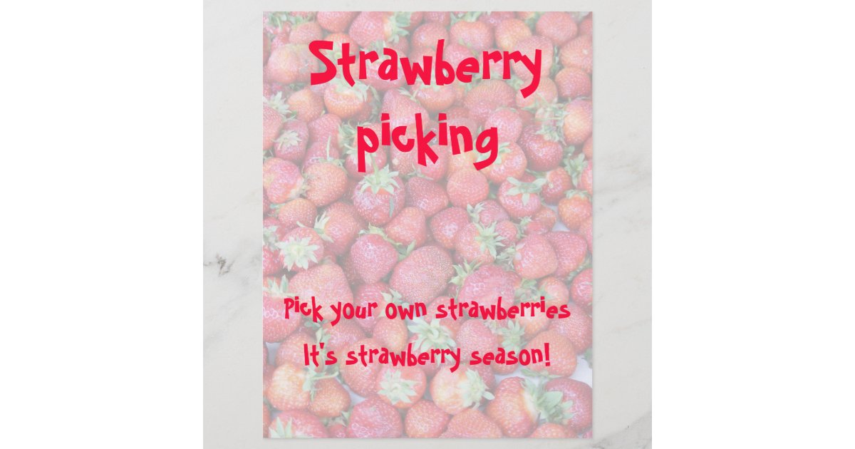 Strawberry picking flyer | Zazzle