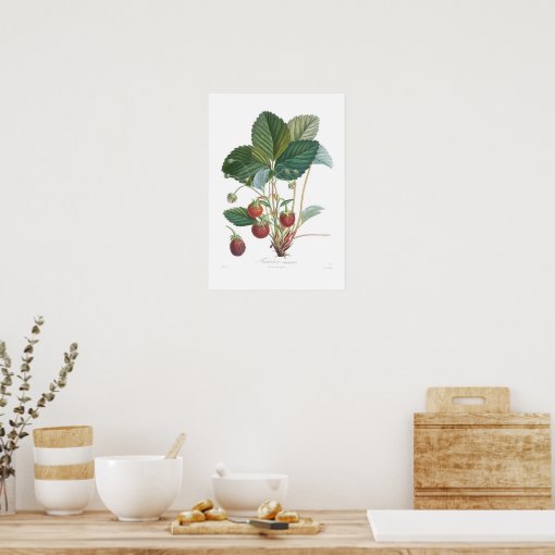 Strawberry Poster | Zazzle