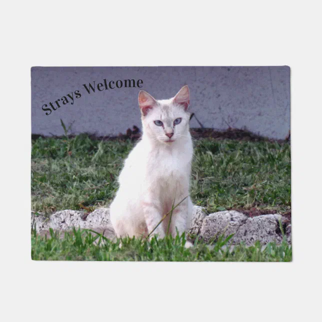 Strays Welcome - Siamese Stray Cat Doormat | Zazzle