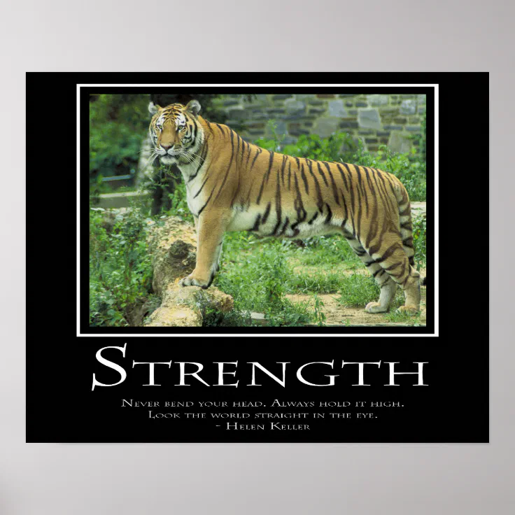 Strength Poster | Zazzle