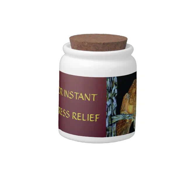 STRESS RELIEF CANDY JAR | Zazzle