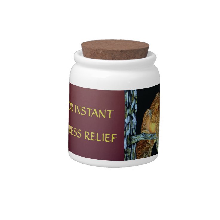 STRESS RELIEF CANDY JAR | Zazzle
